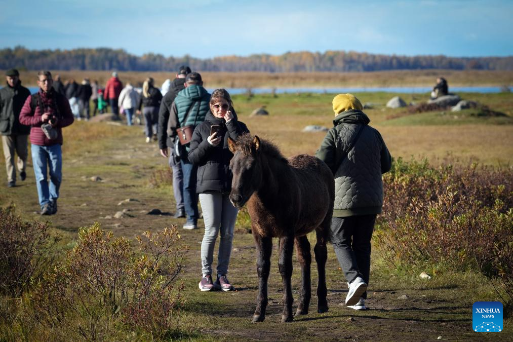 Autumn scenery at nature park in Engure, Latvia-Xinhua