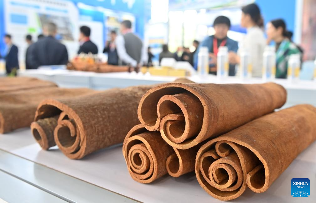 Guangxi Int'l Forest Products and Wood Products Exhibition 2025 kicks ...