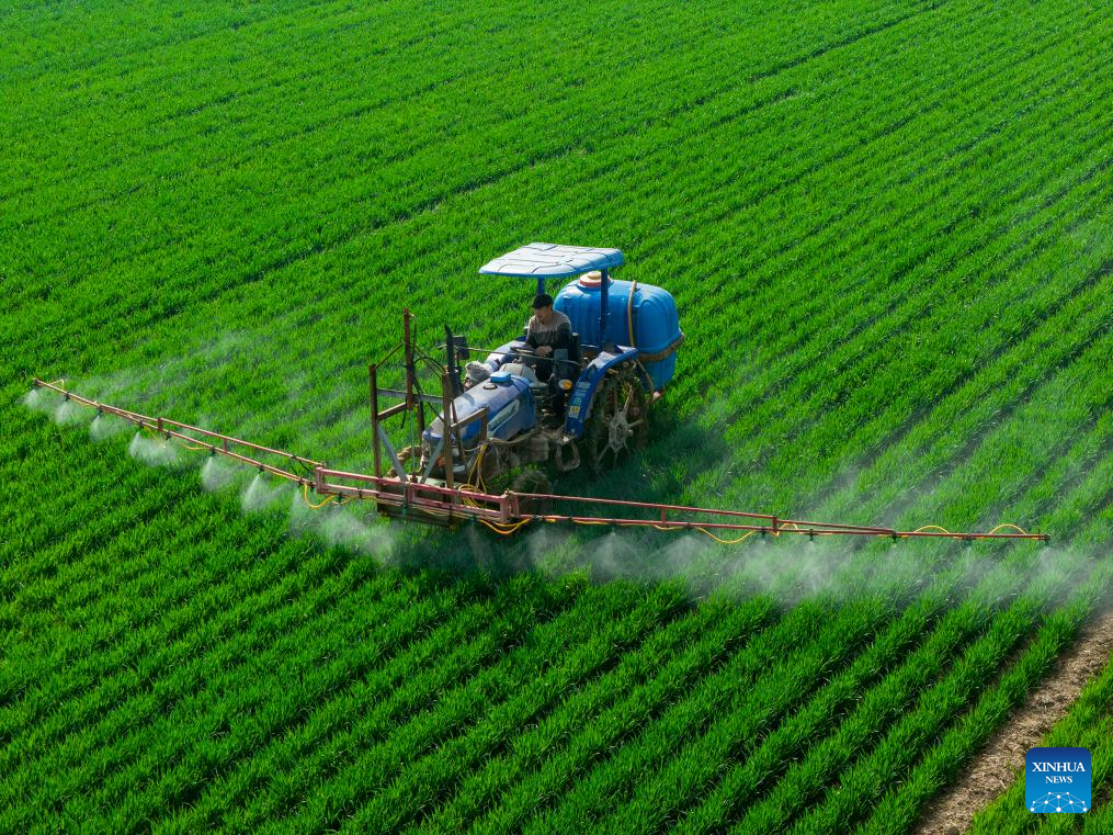 Farmers busy with spring ploughing across China -Xinhua