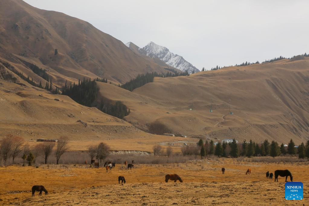 Autumn scenery of Xiata valley in NW China's Xinjiang-Xinhua