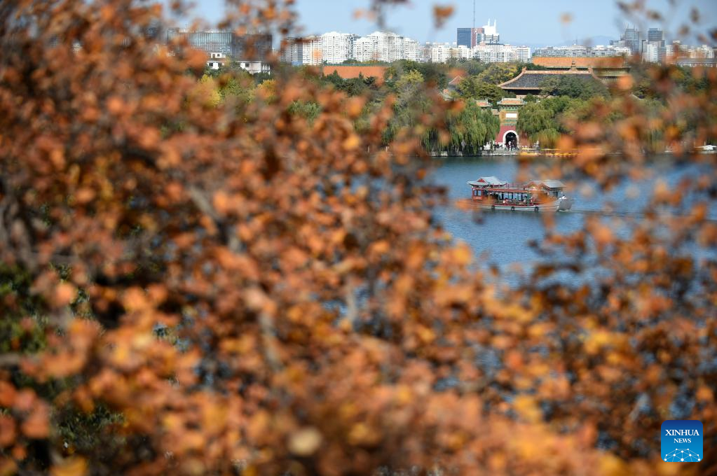 Autumn scenery in Beijing-Xinhua