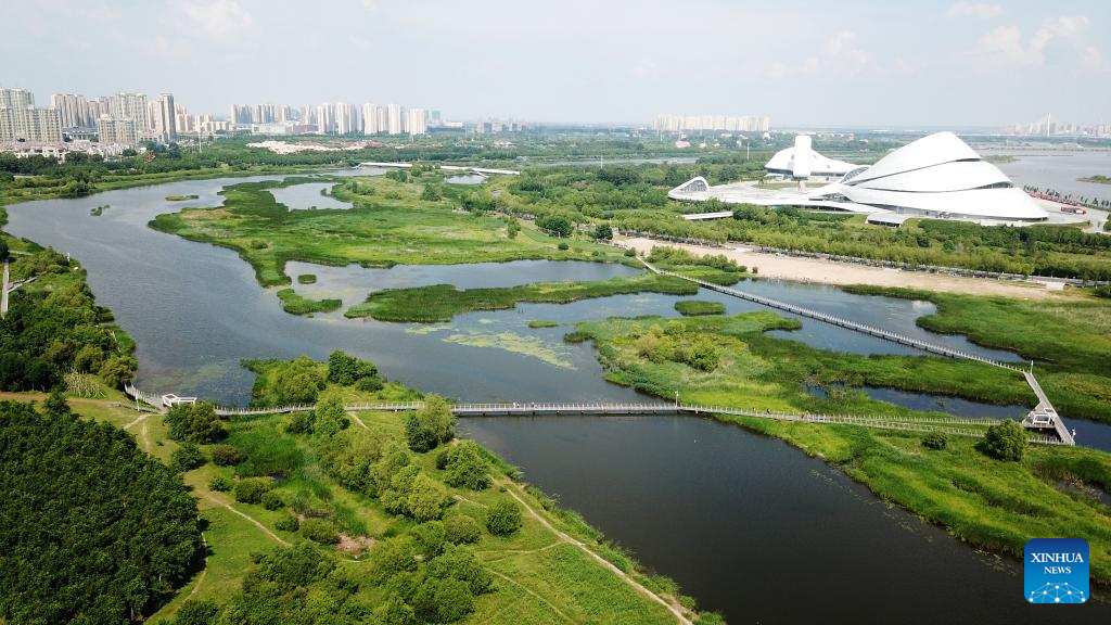In pics: Harbin, wetland paradise in NE China-Xinhua