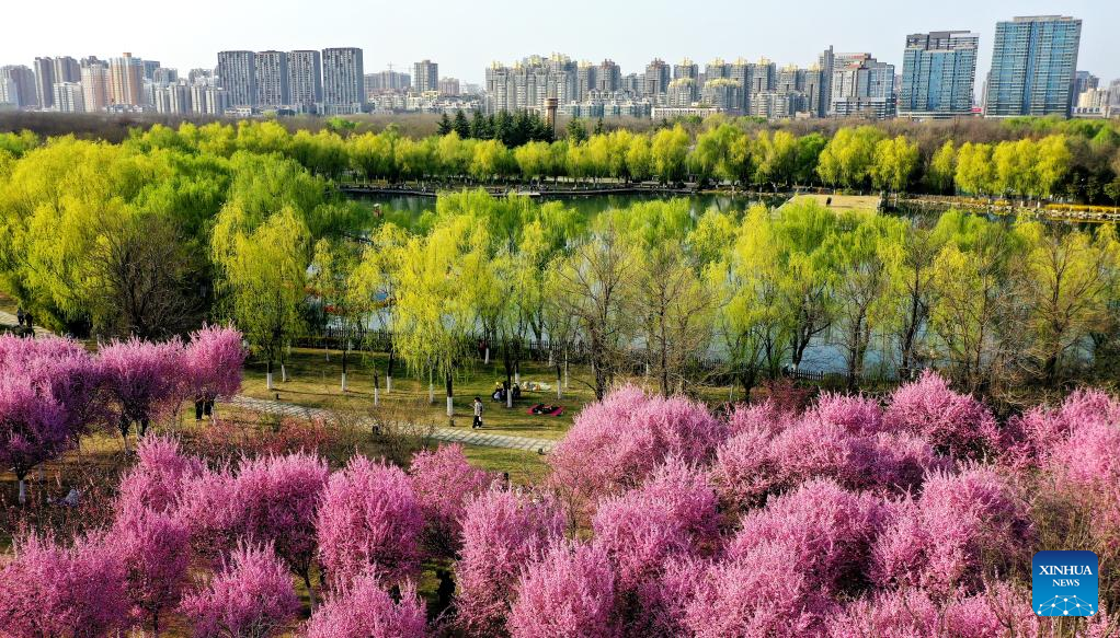 Spring scenery at Daming Palace National Heritage Park in NW China-Xinhua