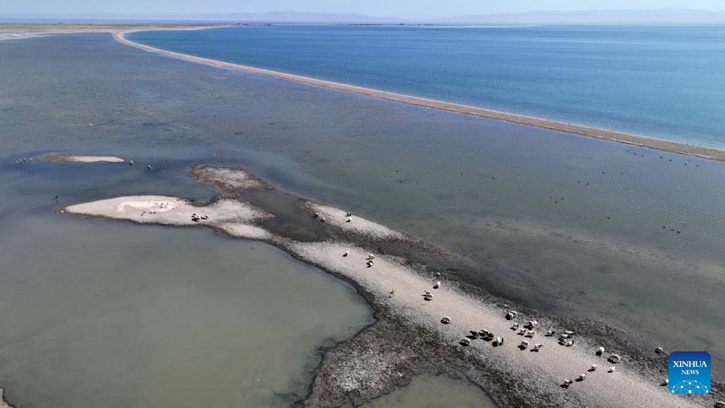 View of Qinghai Lake in NW China-Xinhua