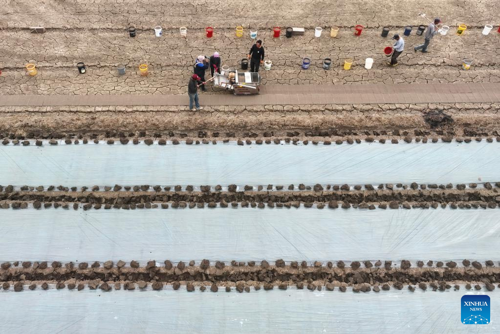Farmers busy with spring farming in China's Hebei-Xinhua