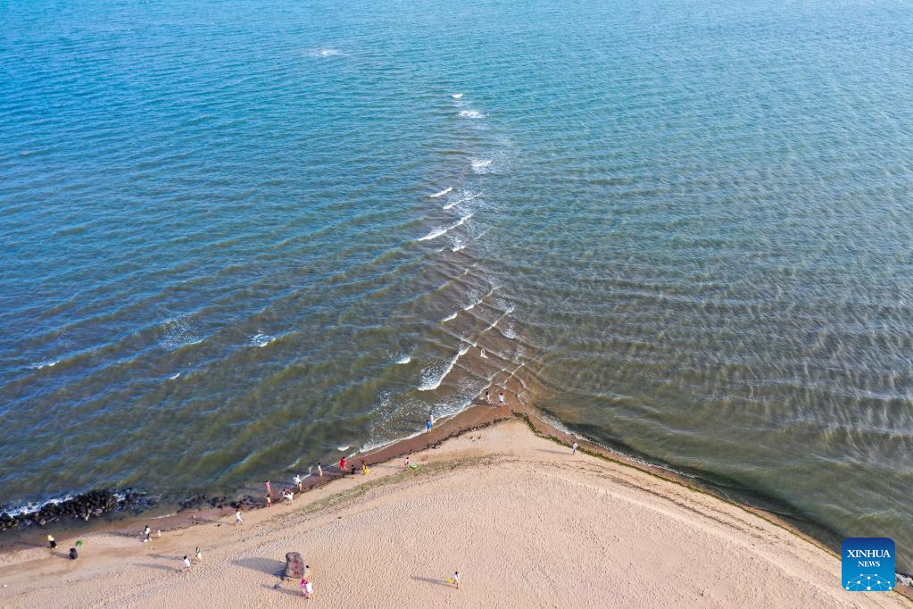 Aerial view of Zhanjiang City in China's Guangdong-Xinhua