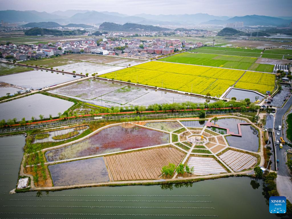 Green Rural Revival Program lifts image of countryside in China's ...