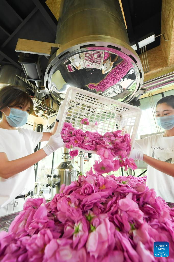 Green Rural Revival Program lifts image of countryside in China's ...