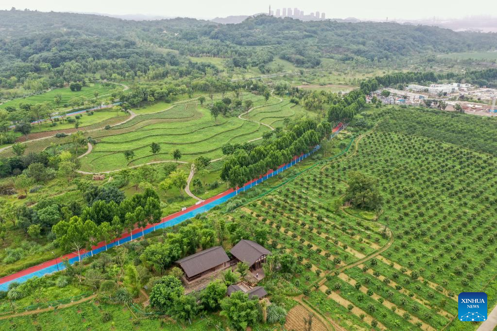 People visit Guangyang Isle for ecological education tour in SW China's ...