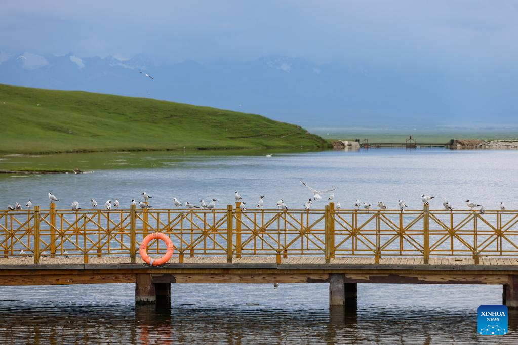 Scenery of Bayan Bulag grassland in Hejing County, NW China-Xinhua