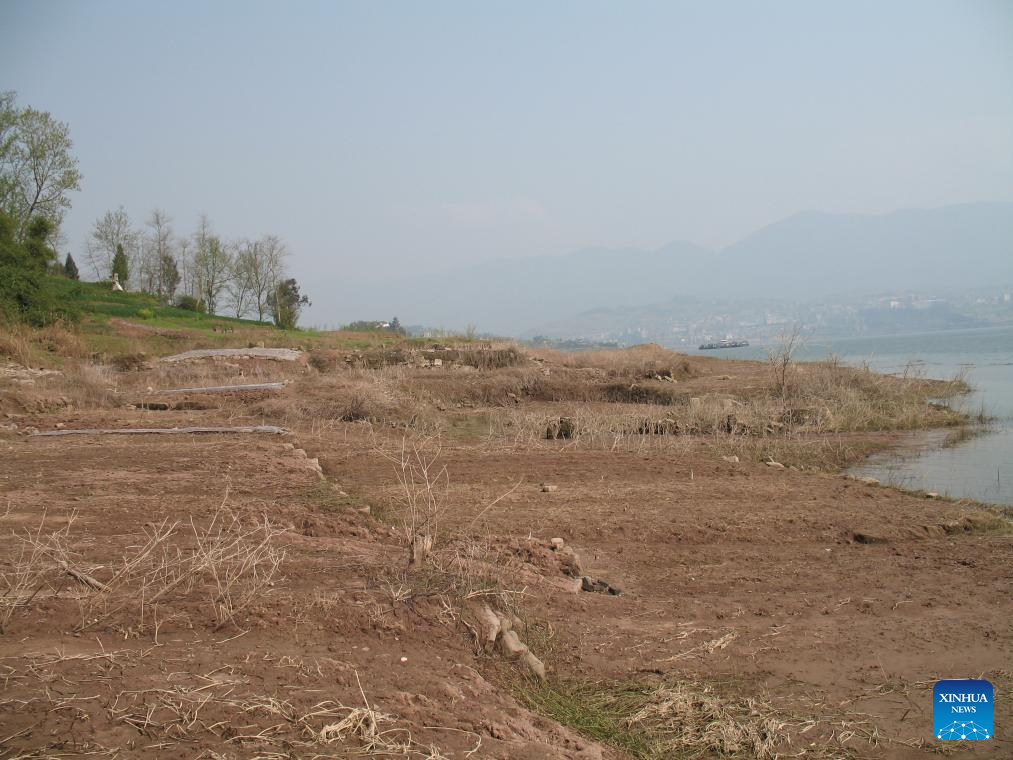 Three Gorges Reservoir witnesses improved ecological environment in SW ...