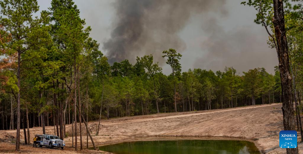 Fast-spreading wildfire forces evacuation in U.S. Texas-Xinhua