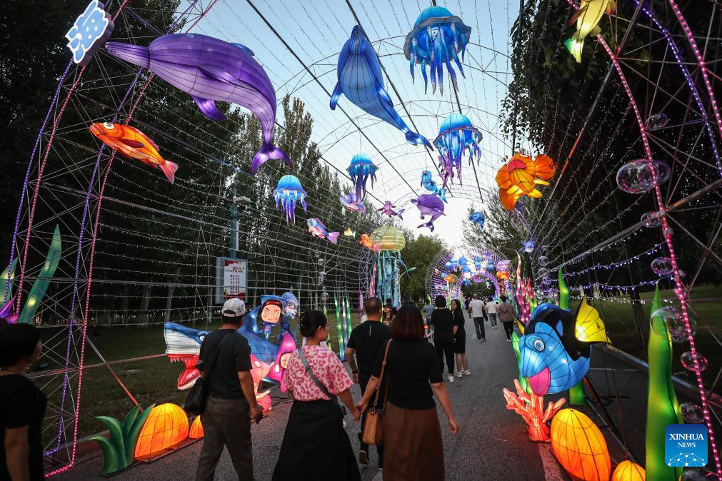 Light installations displayed at lantern show in NE China-Xinhua