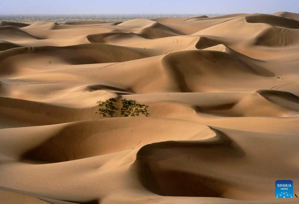 Makit County near Taklimakan Desert capitalizes on natural resources ...