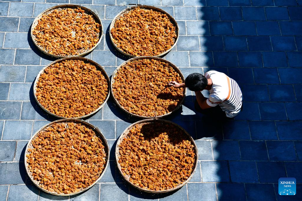 Throny fruits boost income of local farmers in China's Guizhou and ...
