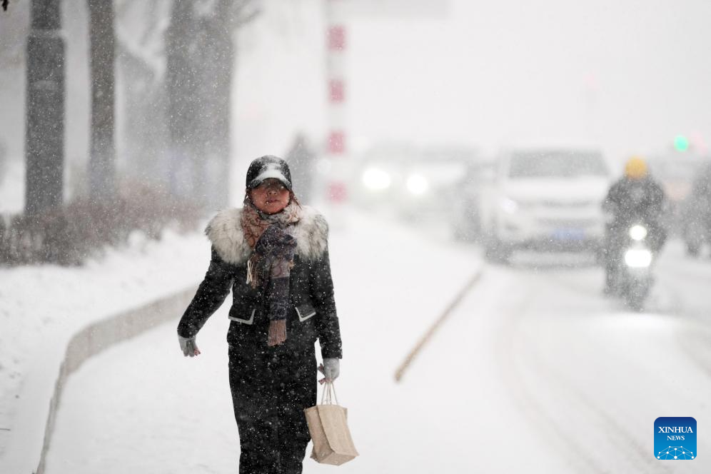 Heavy snow hits Harbin in NE China -Xinhua