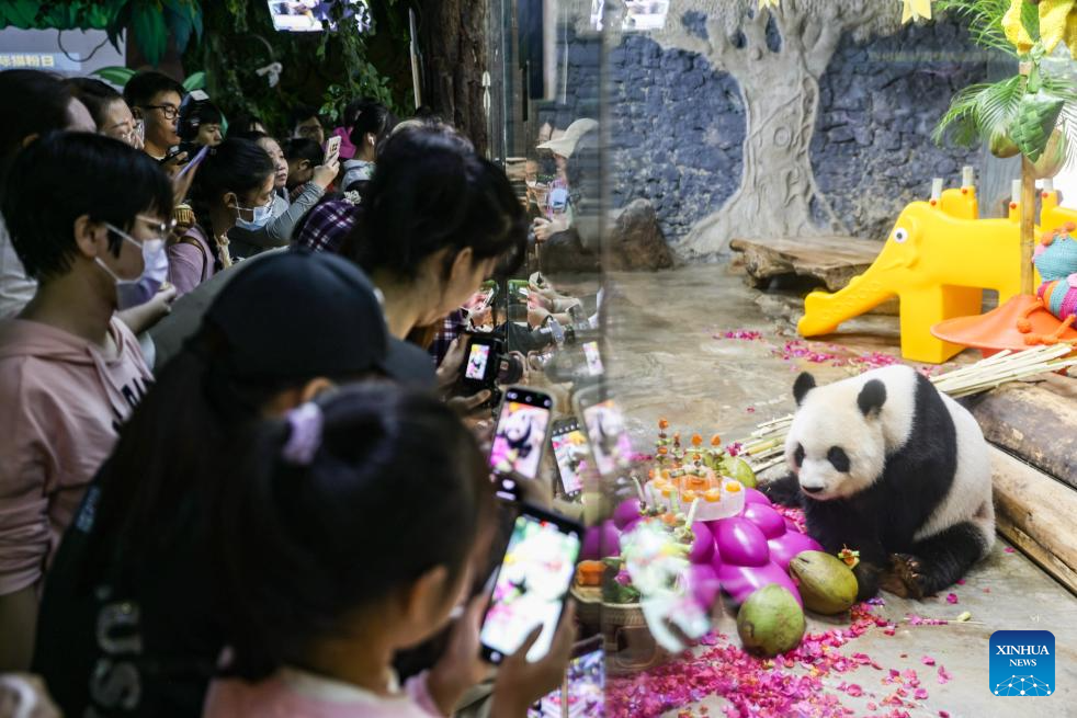 Celebration ceremony held for giant pandas in Hainan -Xinhua