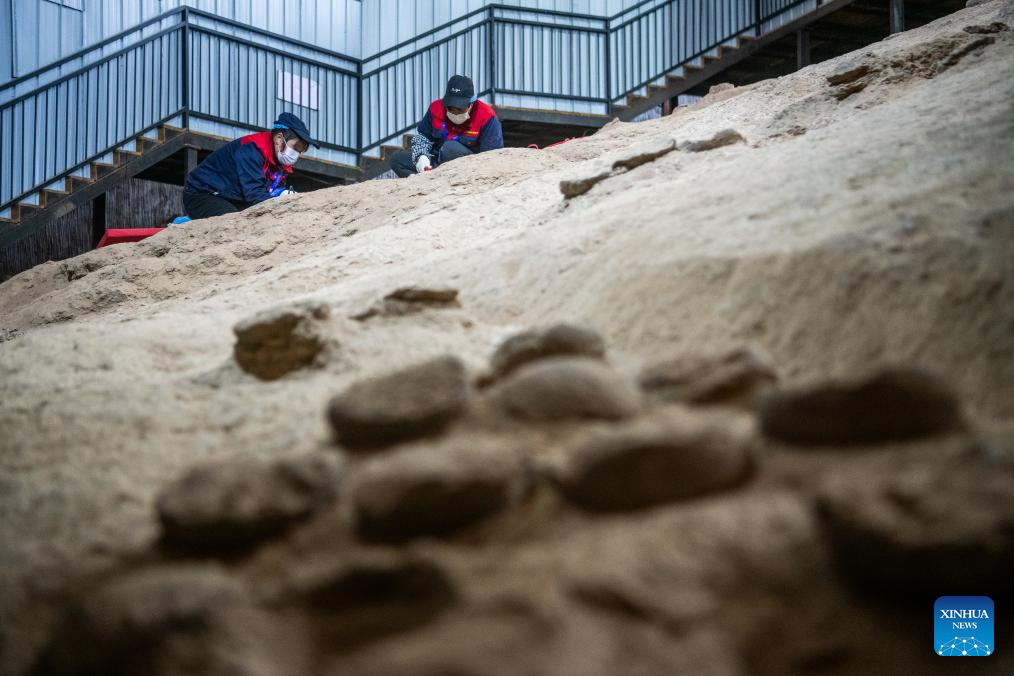 Well-preserved crystallized dinosaur egg fossils discovered in central ...