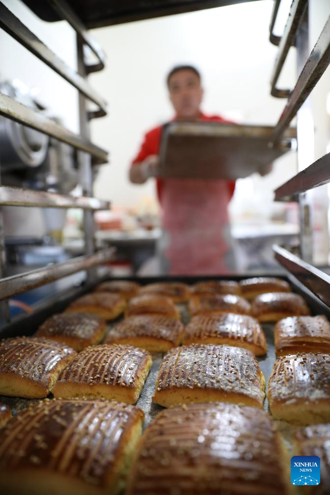 Pic story: daily life of biscuit vendor in NE China-Xinhua
