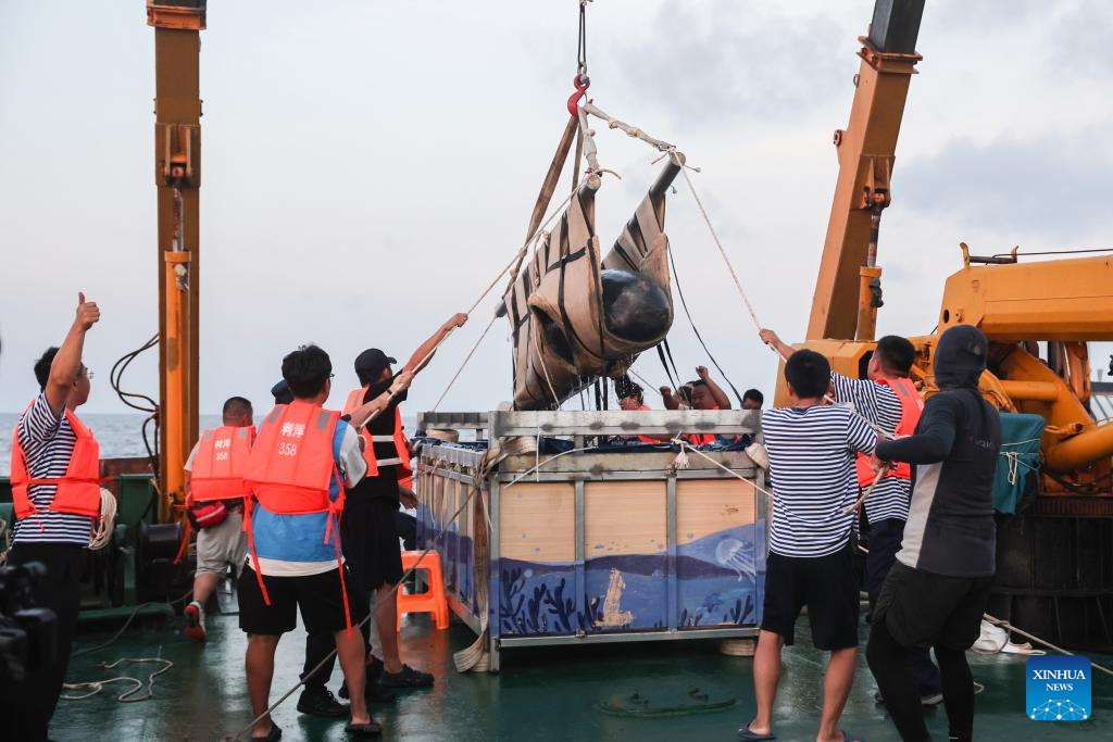 Rescued whale released in south China-Xinhua