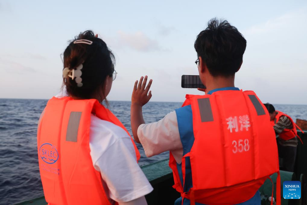 Rescued whale released in south China-Xinhua