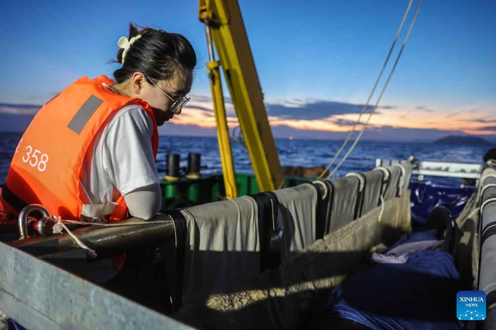 Rescued whale released in south China-Xinhua