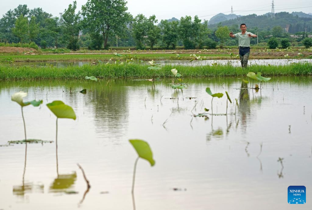 56-year-old farmer inherits Mengxi opera in east China-Xinhua