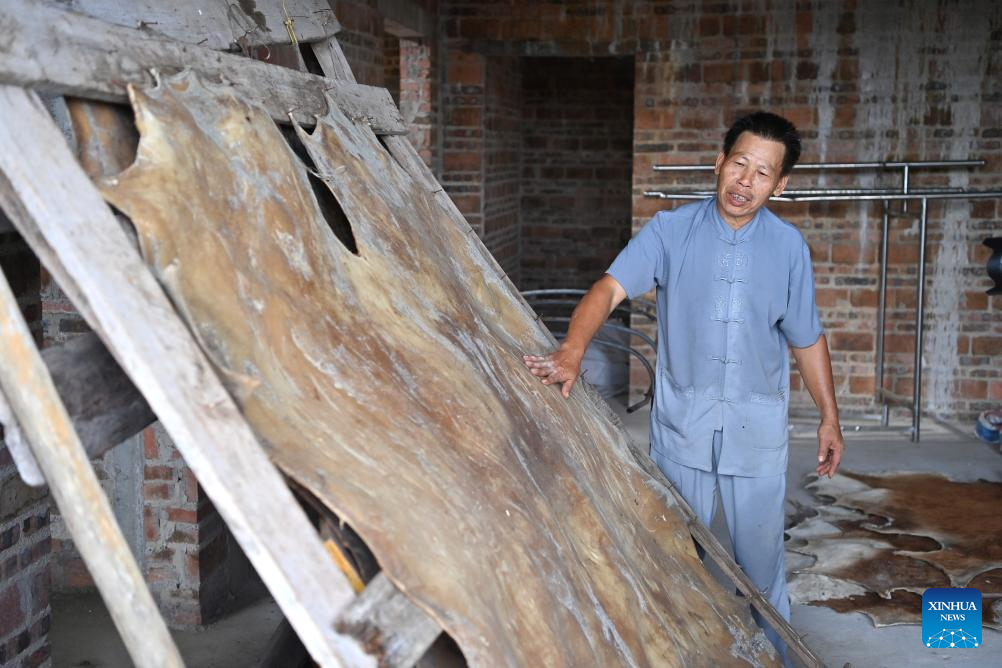 Pic story: inheritor of Yandun drum-making technique in Guangxi, S ...