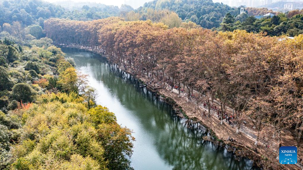 Autumn scenery of Huaxi National Urban Wetland Park in Guiyang, C China ...