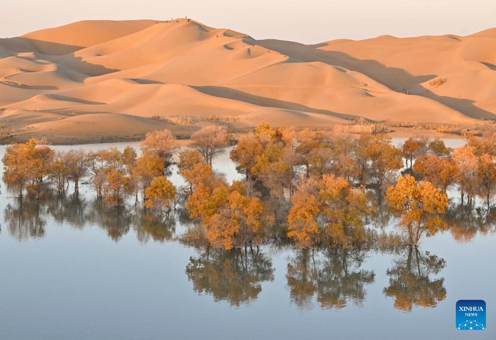 Autumn scenery attracts tourists in NW China's Xinjiang-Xinhua