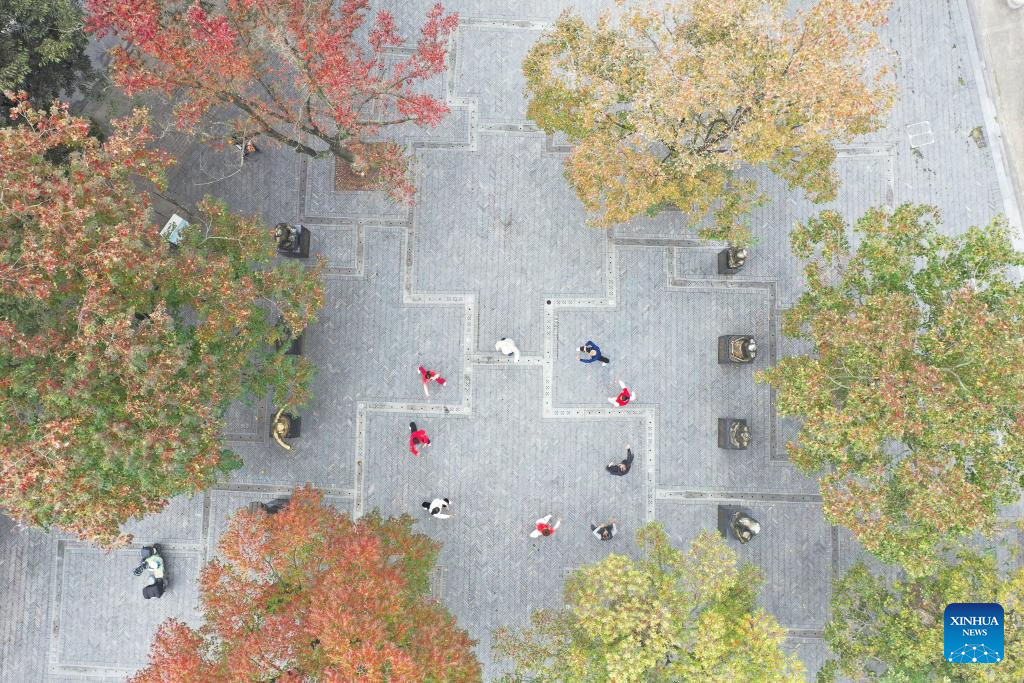 Winter scenery across China-Xinhua