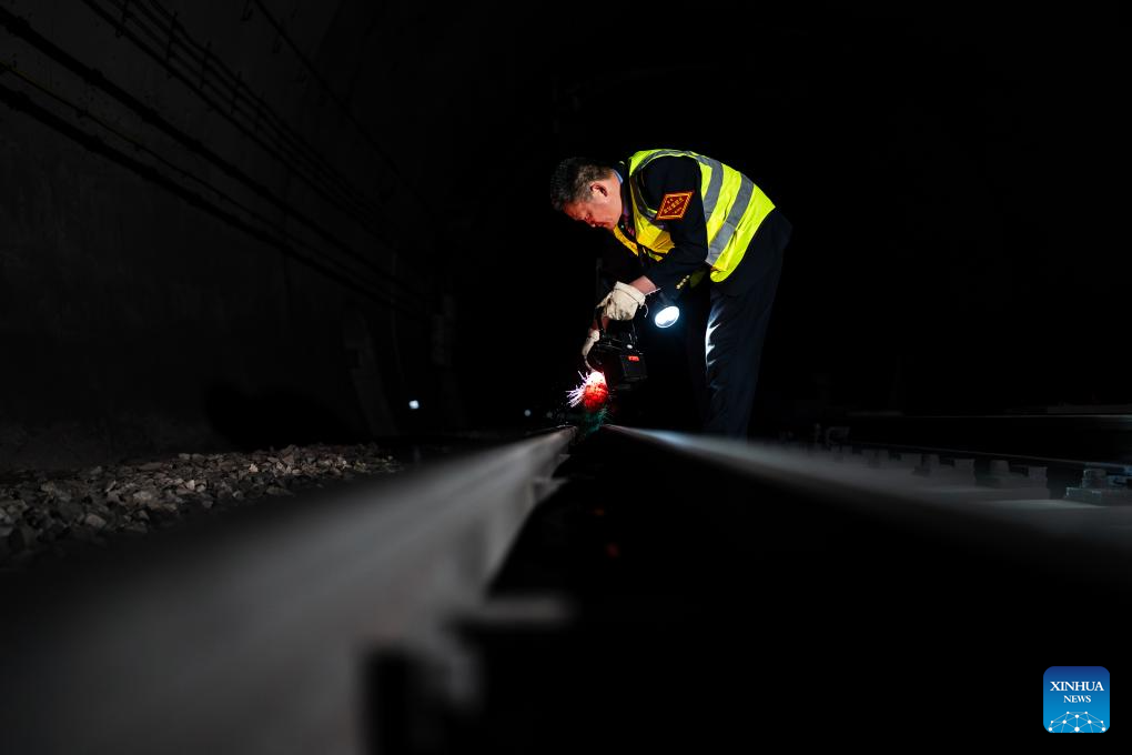 Pic story: dedicated watchman at "Invisible" railway station in SW ...