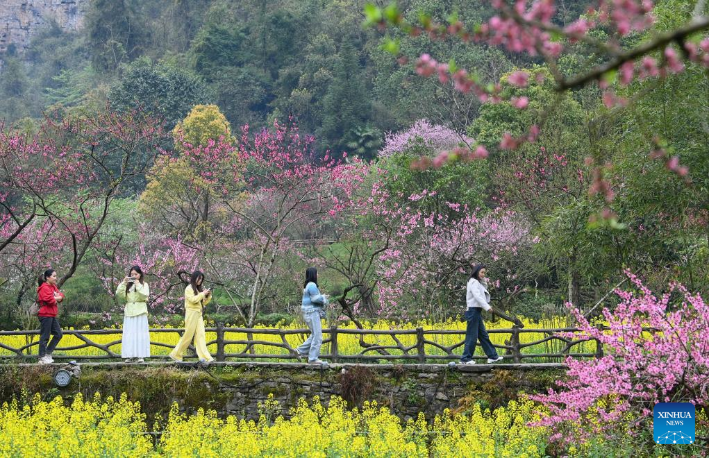 People enjoy Qingming Festival across China-Xinhua