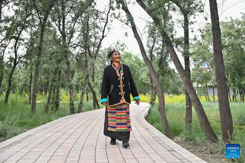 In pics: sea buckthorn forest in China's Xizang-Xinhua