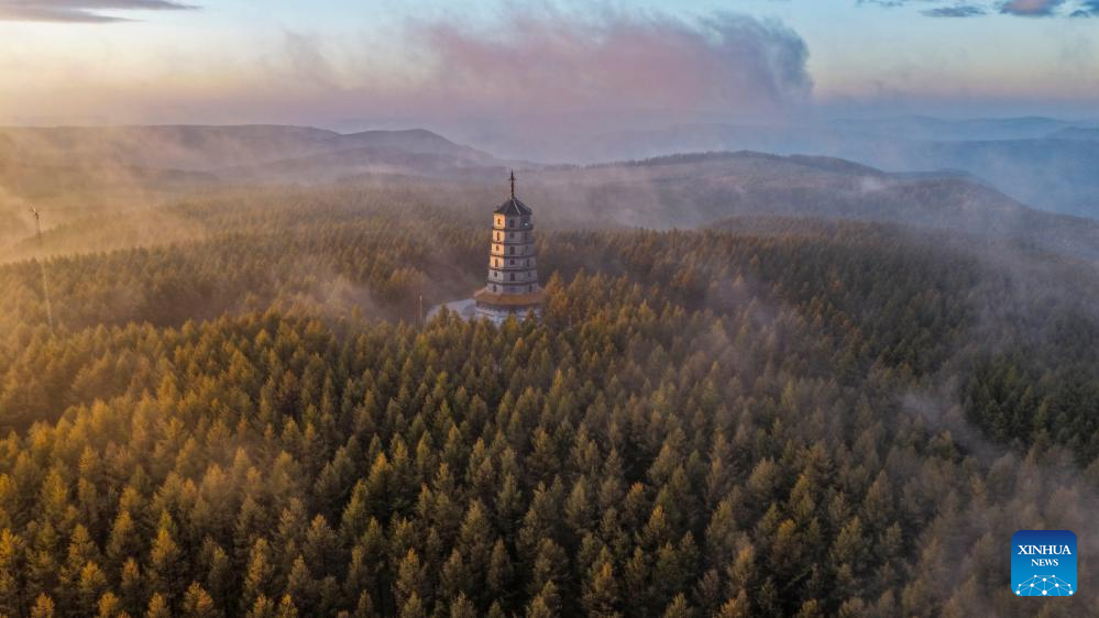 Autumn scenery of Saihanba National Forest Park in Chengde, N China -Xinhua
