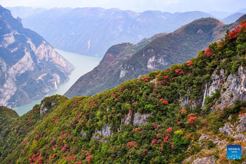 Autumn scenery of scenic spot near Wuxia Gorge in China's Chongqing-Xinhua
